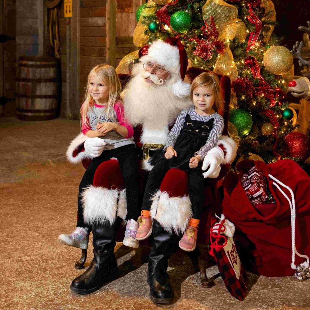 Home - Christmas Light Fest